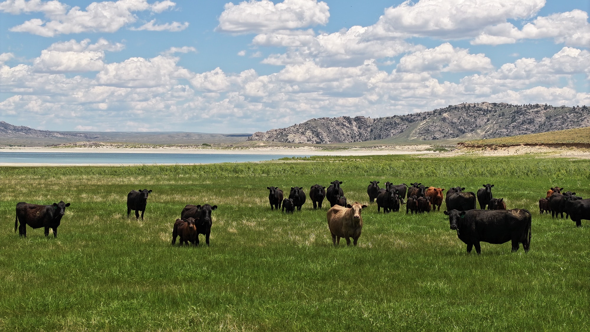 Swan Land Company Closes Historic Sale of Pathfinder Ranches: One of ...